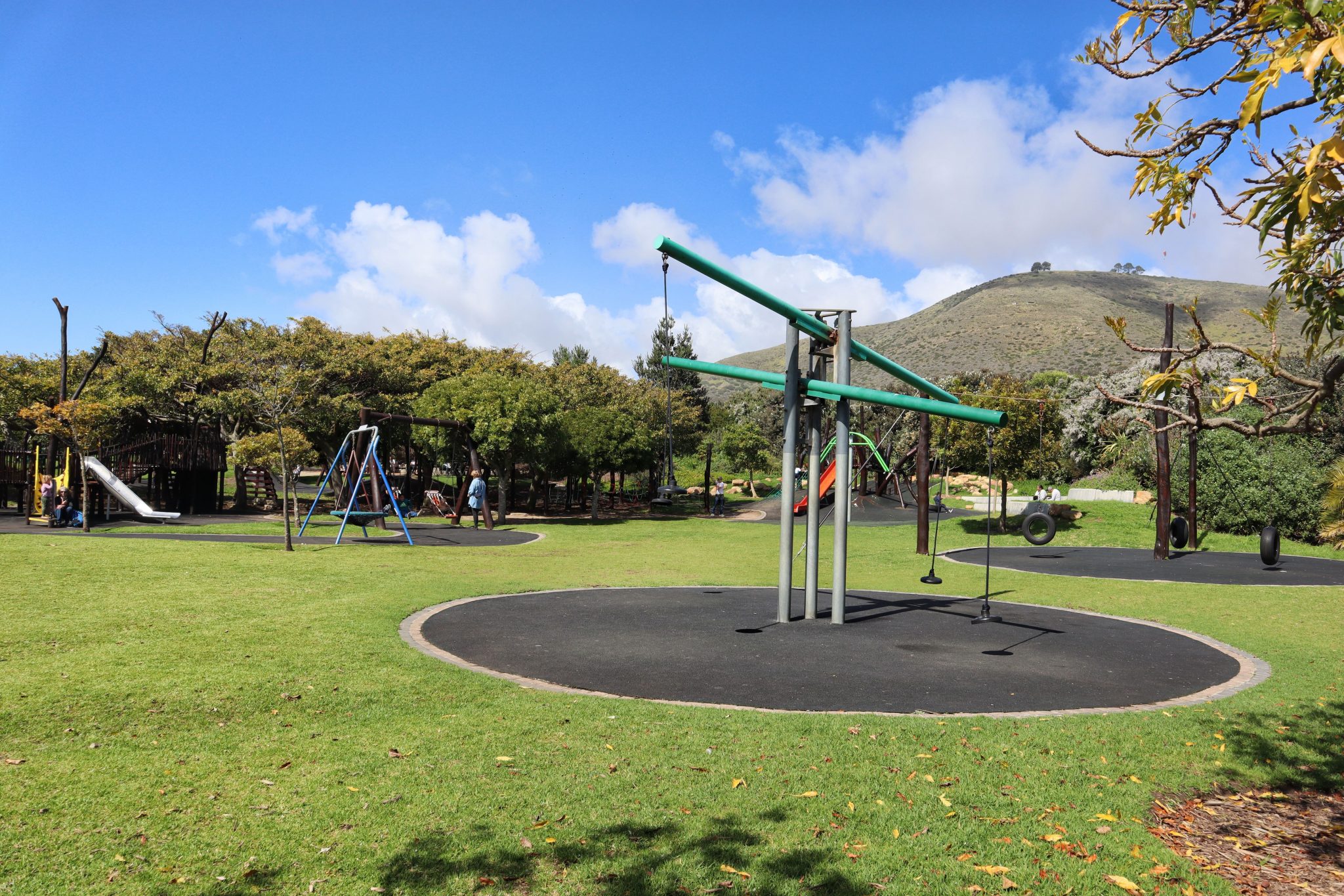 Green Point Park | Biodiversity Garden In The City | Cape Town