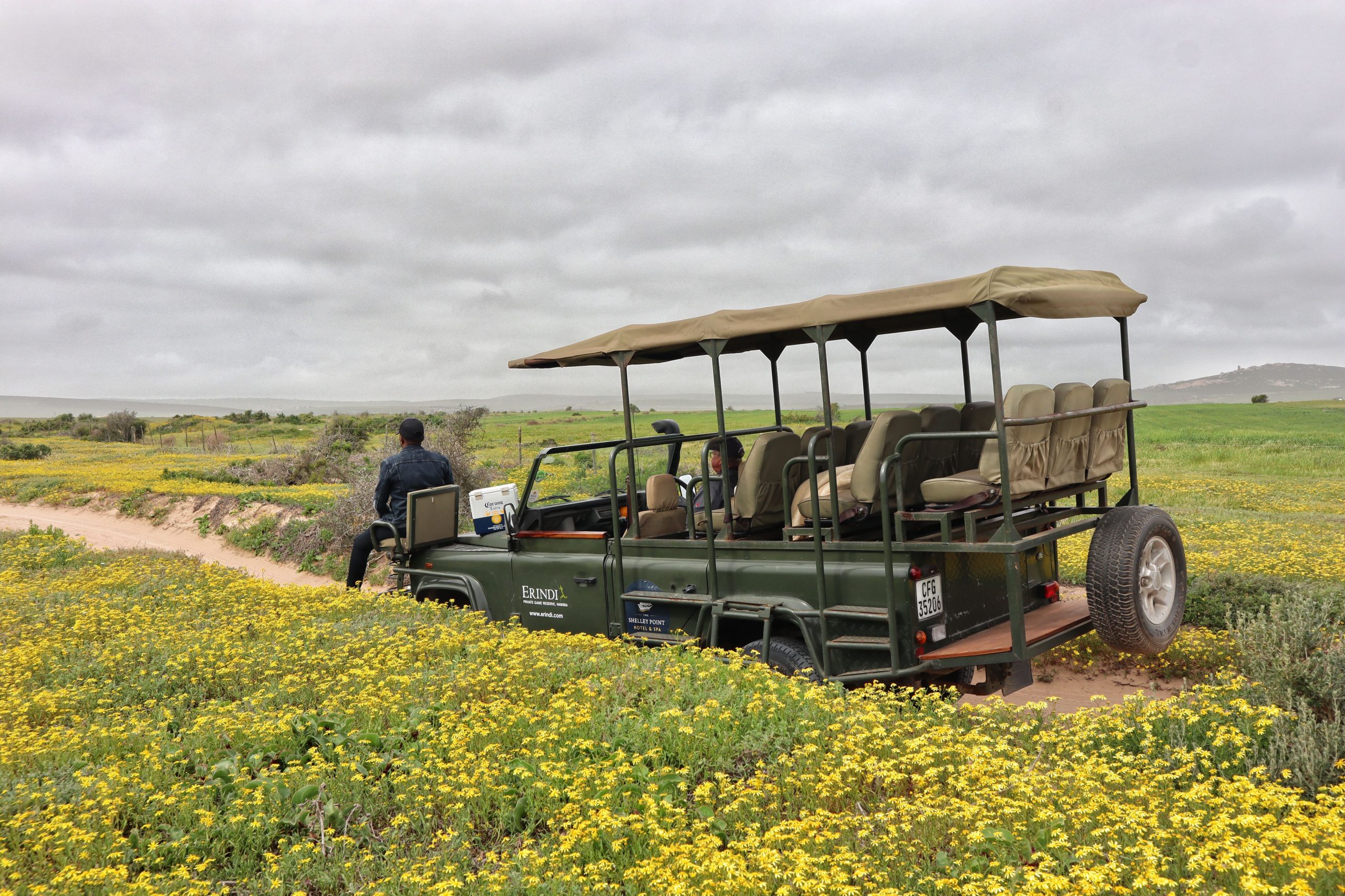 10 Best Places To View Spring Wildflowers | West Coast