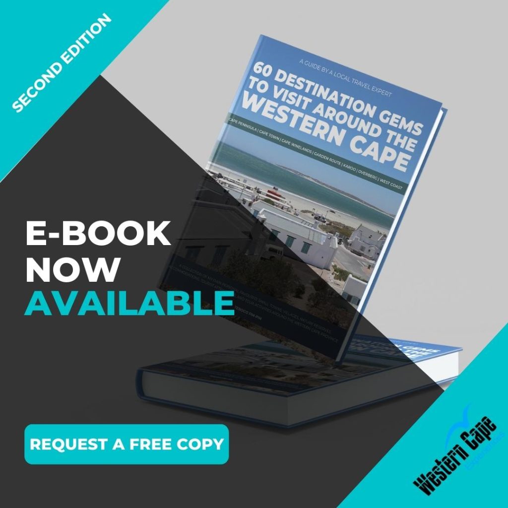 Best Time To Visit Cape Town | Western Cape Experiences